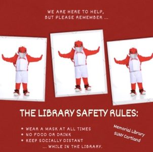 Library Safety Rules | Library