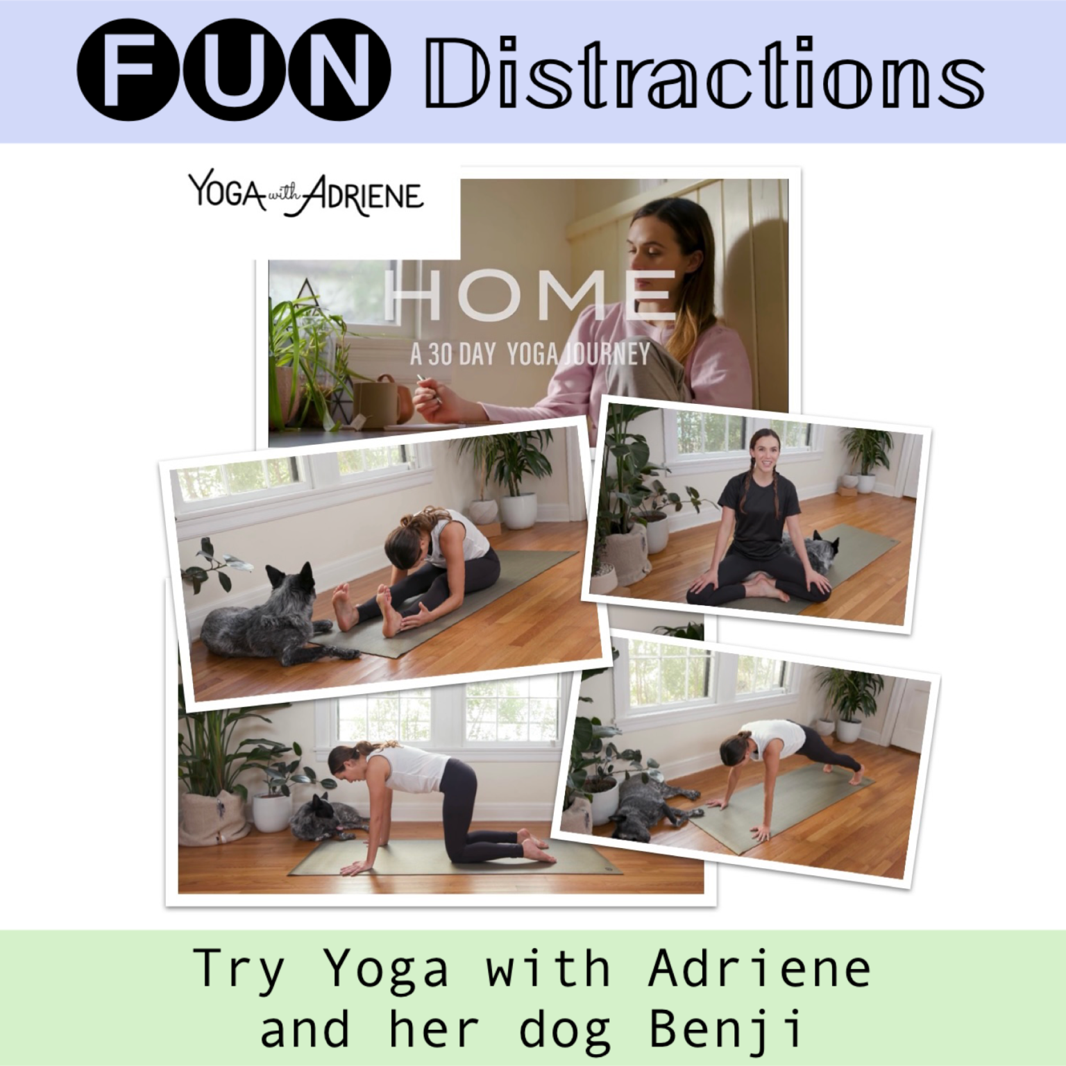 Fun Distraction: Yoga | Library