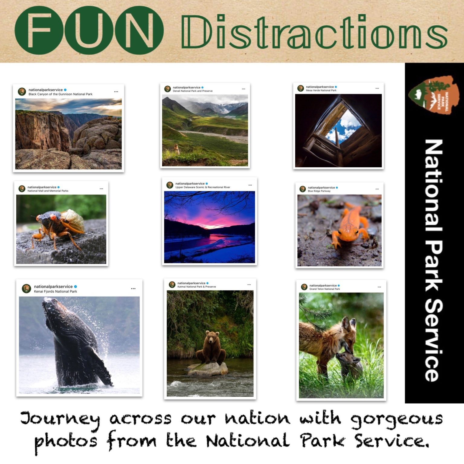 Fun Distraction: National Park Service | Library