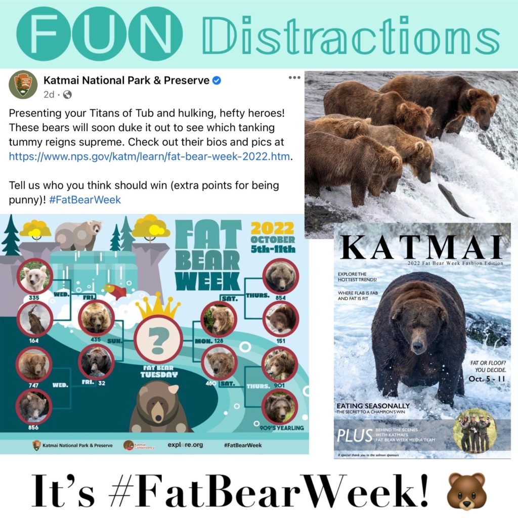 Fun Distraction: Fat Bear Week | Library