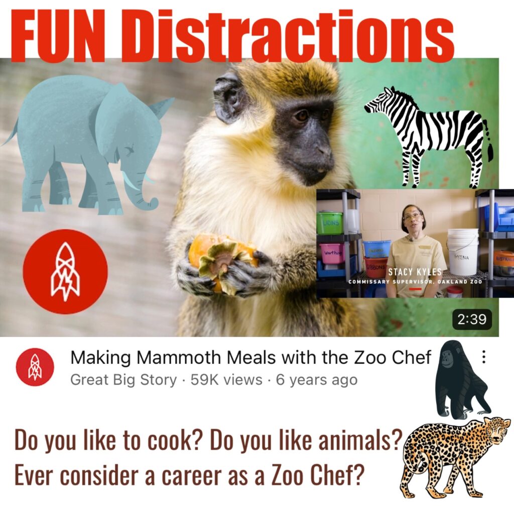 Fun Distractions: Zoo Chef | Library