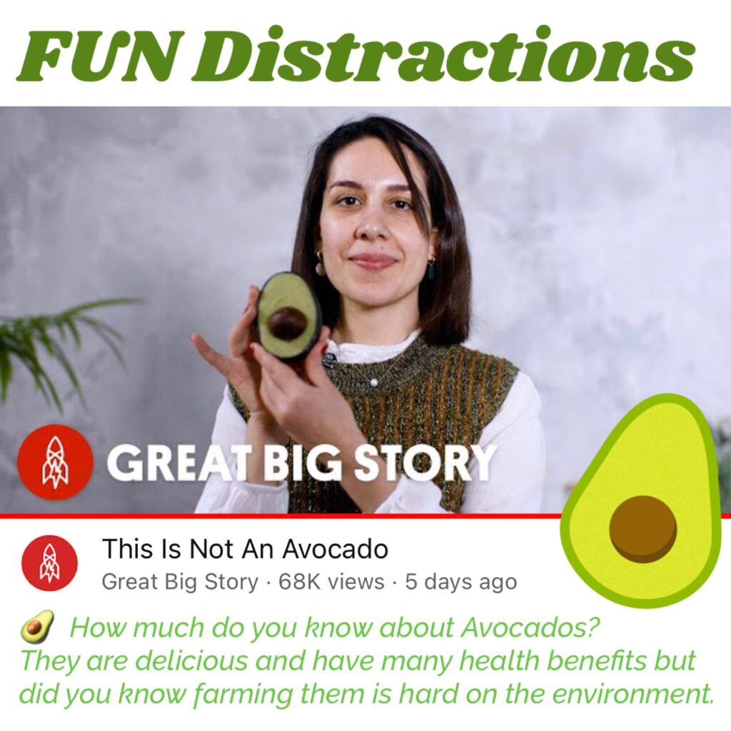 Fun Distraction: Avocados | Library