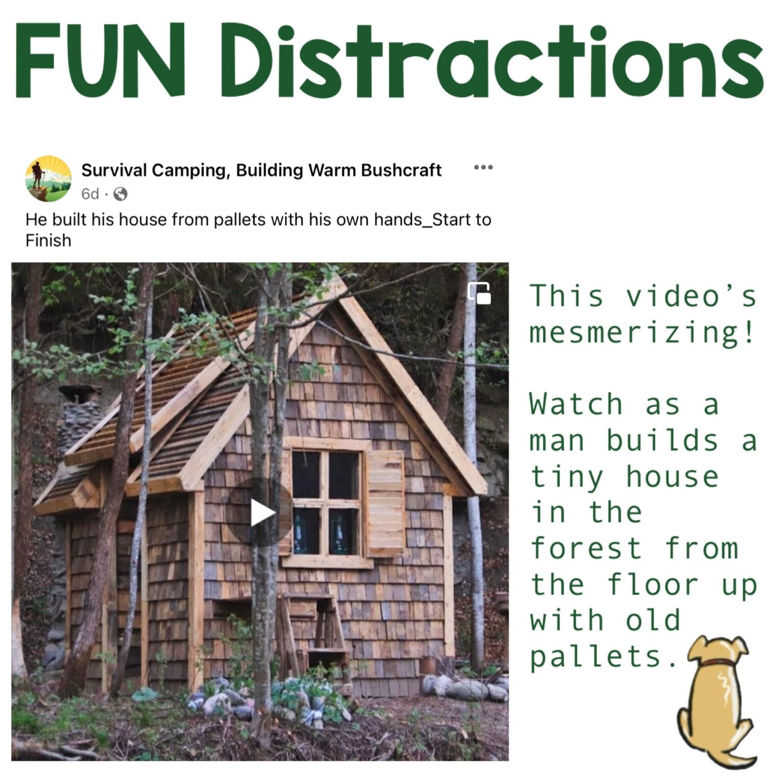 Fun Distraction: Pallet House | Library