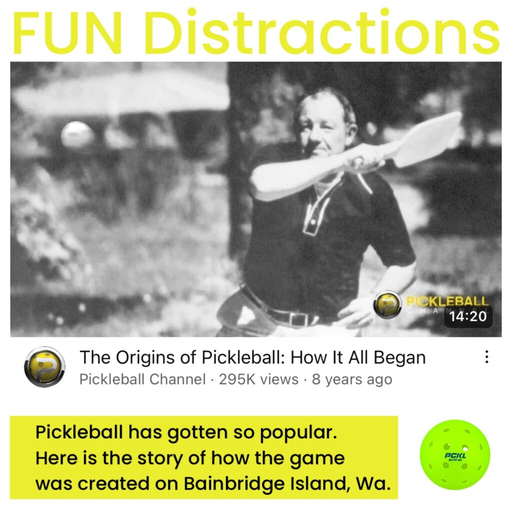 Fun Distraction: Pickleball | Library
