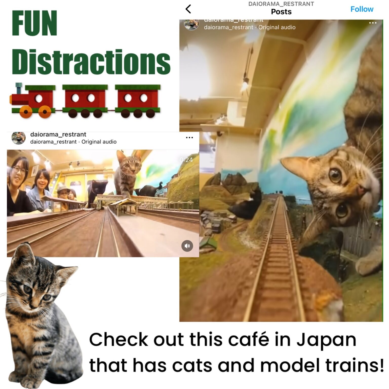 Fun Distraction: Japanese Cafe with Cats & Model Trains | Library